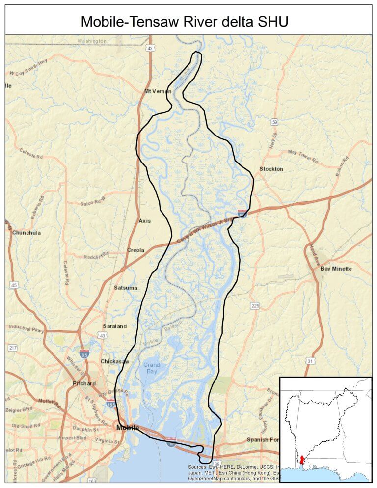 Biodiversity and Ecosystem of the Mobile-Tensaw River Delta - National ...